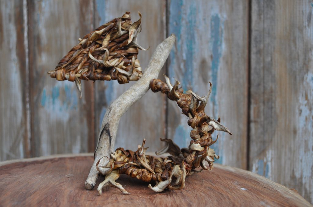 Spring Artist Feature: Cindy Wood - Flying Arts Alliance